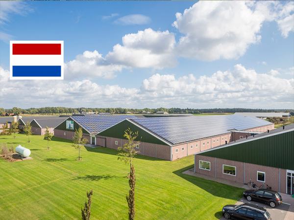 Pig farm Van Asten Group