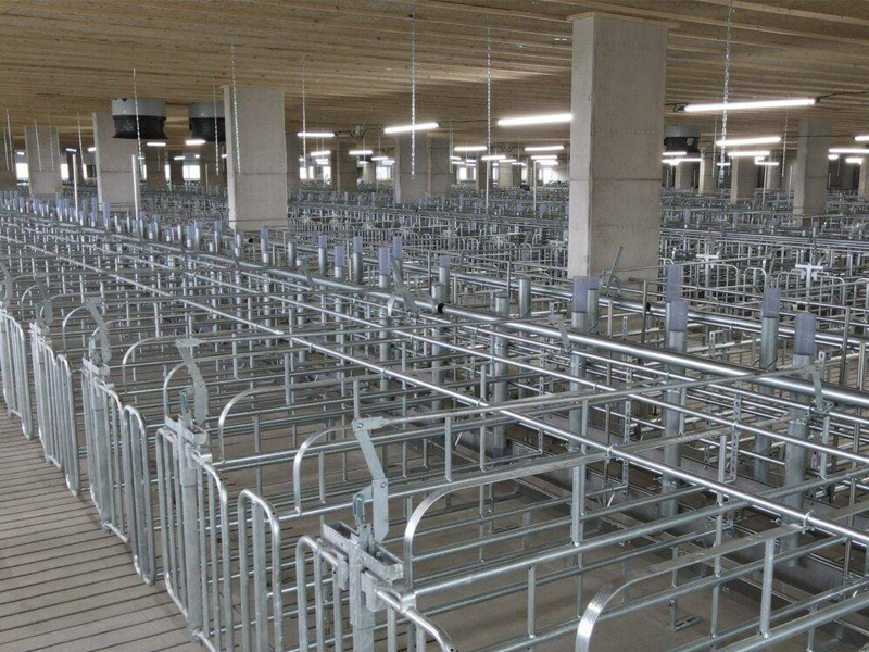 Sow Farm - Felsőbabád | Hungary | Stienen Bedrijfselektronica B.V.