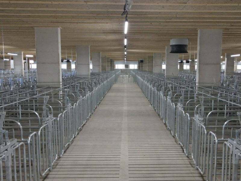 Sow Farm - Felsőbabád | Hungary | Stienen Bedrijfselektronica B.V.